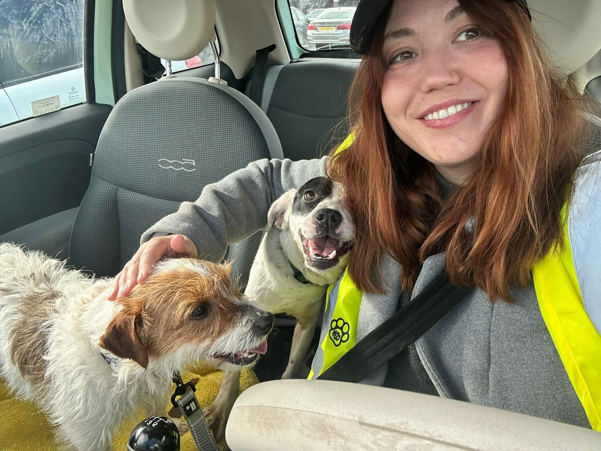 Pip & Puffer – Cardiff Dogs Home